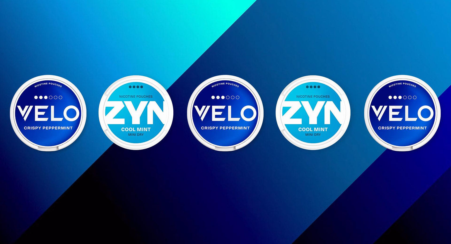 New Pricing and packs of Zyn and Velo – Buy at Nico&Pouch